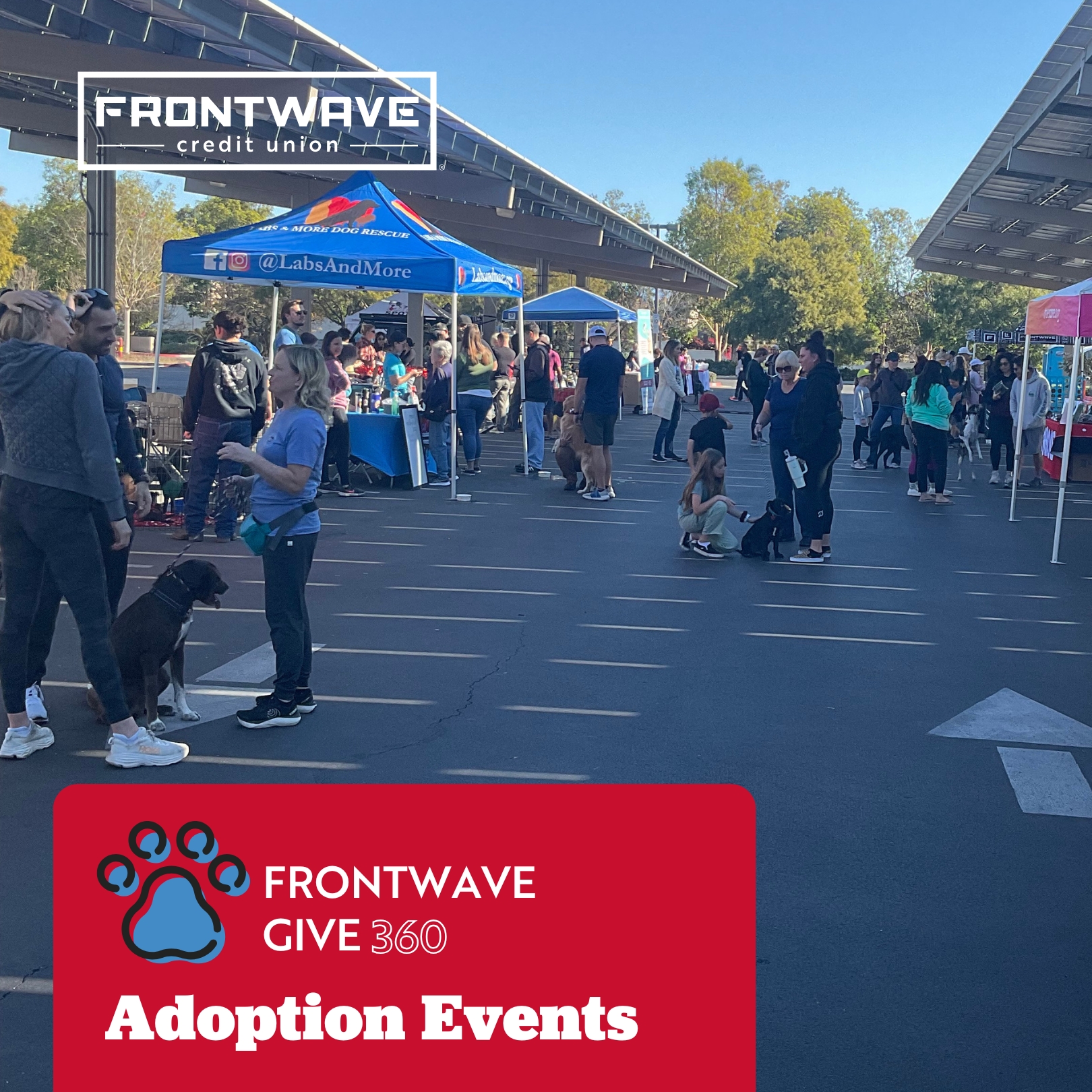Frontwave Credit Union | Give360 Pets Place | Pet Adoption Events ...